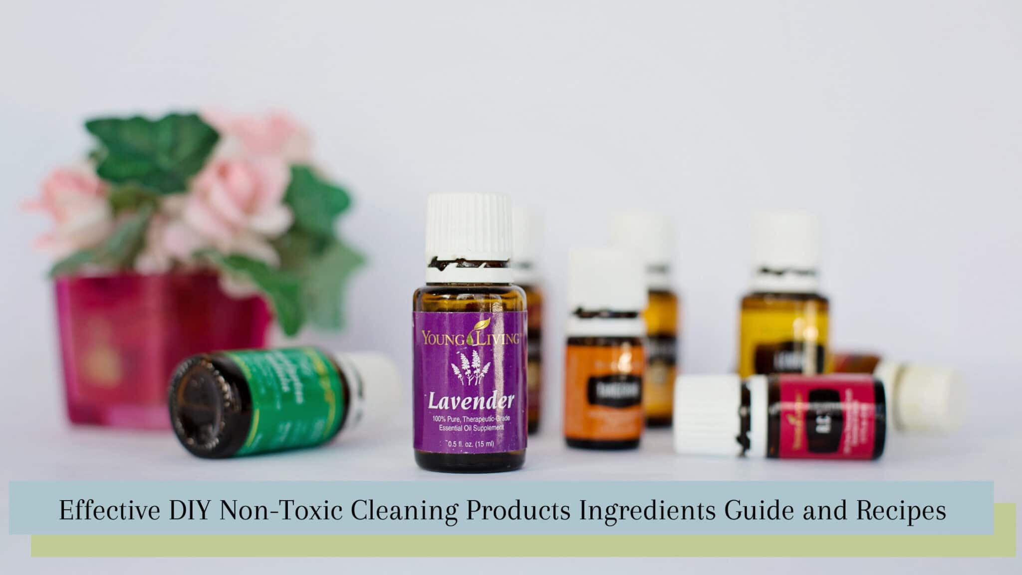 DIY Non-Toxic Cleaning Products Ingredients Properties and Recipes ...
